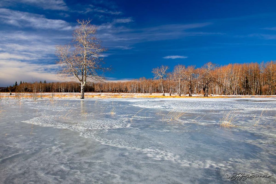 Overflow Ice - Jeffrey Favero Fine Art Photography